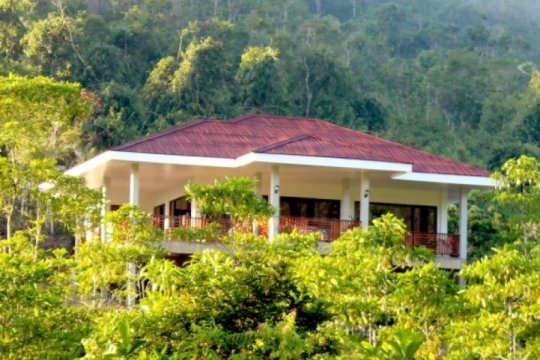 Houses for Sale in Palawan | Dot Property