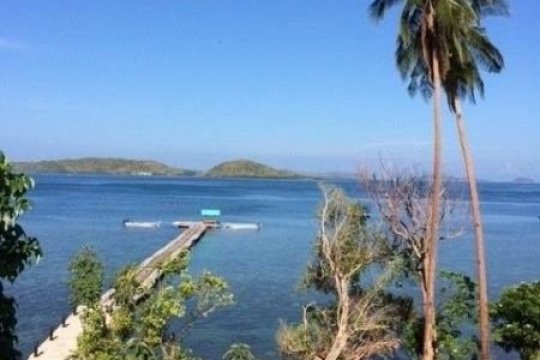Houses for Sale in Palawan | Dot Property