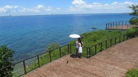 Amara, Cebu - 8 Land for sale and rent | Dot Property
