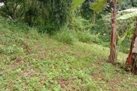 Land for Sale in Rodriguez (Montalban), Rizal | Dot Property