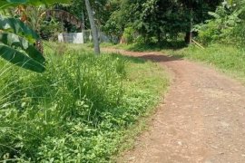 Land for Sale in Rodriguez (Montalban), Rizal | Dot Property