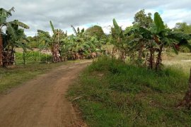 Land for Sale in Rodriguez (Montalban), Rizal | Dot Property
