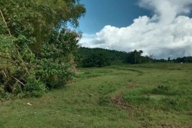 Land for Sale in Rodriguez (Montalban), Rizal | Dot Property