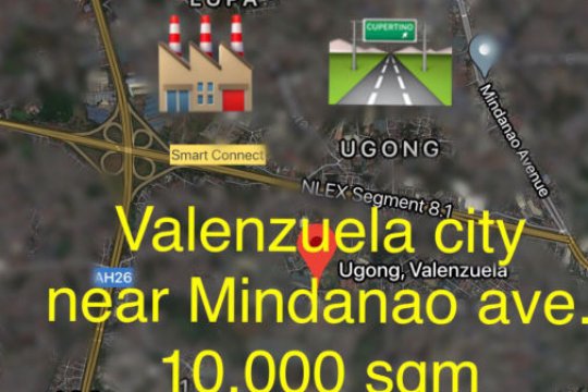 Land for Sale in Valenzuela, Metro Manila | Dot Property