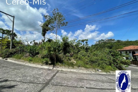 Land for Sale in Cebu | Dot Property