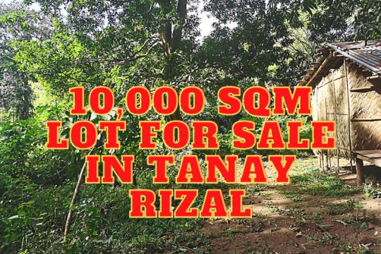 Land for Sale in Tanay, Rizal | Dot Property