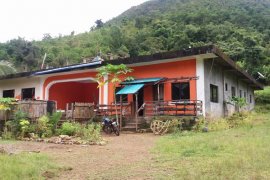 Houses for Sale in Palawan | Dot Property