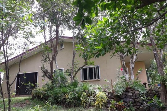 Property for Sale in Palawan | Dot Property