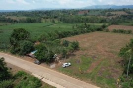 Land for Sale in Bukidnon | Dot Property