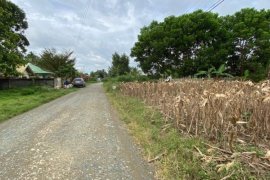 Land for Sale in Bukidnon | Dot Property