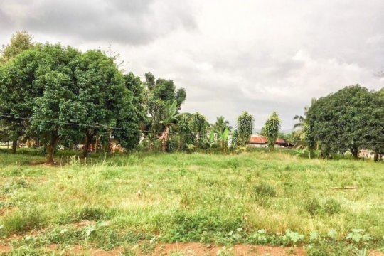 Land for Sale in Bukidnon | Dot Property