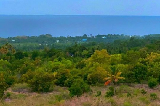 Land for Sale in Cebu | Dot Property
