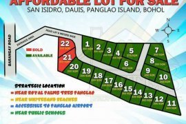 Land for sale in Bohol - Dot Property