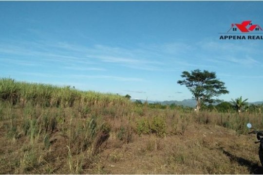 Property for Sale in Valencia, Bukidnon | Dot Property