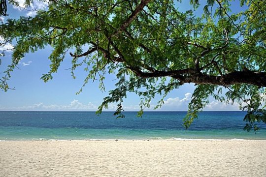 Land for Sale in Oriental Mindoro | Dot Property