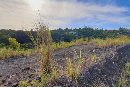 Land for Sale in Cebu | Dot Property