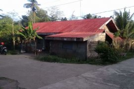 Houses for Sale in Palawan | Dot Property