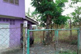Houses for sale in Palawan - Dot Property