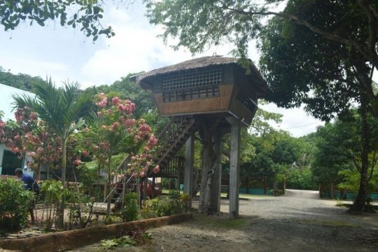 Commercial properties for Sale in Palawan | Dot Property
