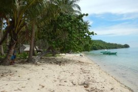 Land for Sale in El Nido (Bacuit), Palawan | Dot Property